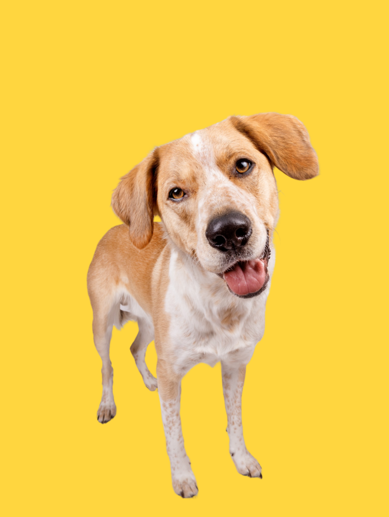 In Front Marketing - Digital Marketing Agency Calgary