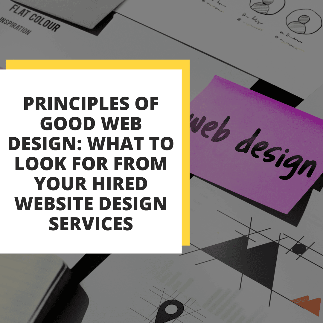 Principles of Good Web Design: What To Look For in Website